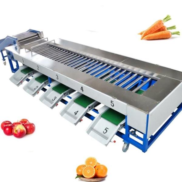 Quality Fruit Weight Selecting Fruit Vegetable Processing Machine For Grading Sorting for sale