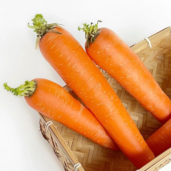 Quality Organic Fresh Carrots Shandong Origin High Quality Export Natural Cultivation 2024 Crop Sweet Taste Vegetables for Sale for sale