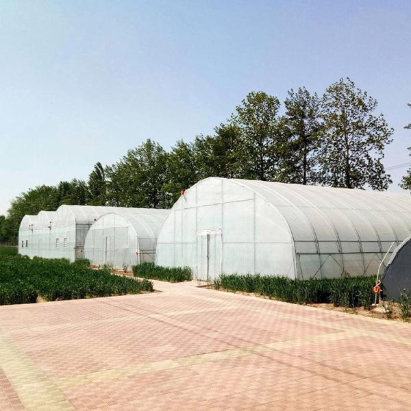 Quality Plastic Film Steel Frame Tunnel Greenhouse for Farm for sale