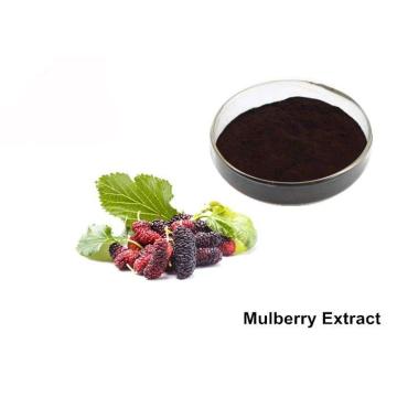 Quality Natural Mulberry Extract Powder for sale