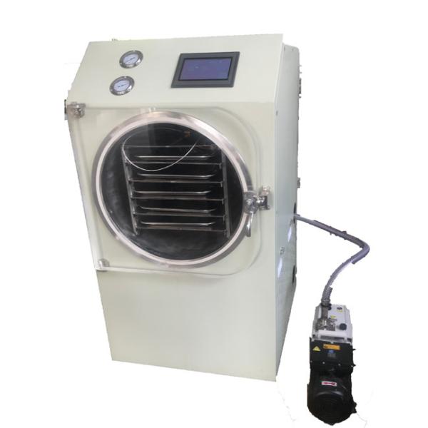 Quality High Efficiency Kitchen Freeze Dryer , Small Freeze Dryer For Home Use for sale