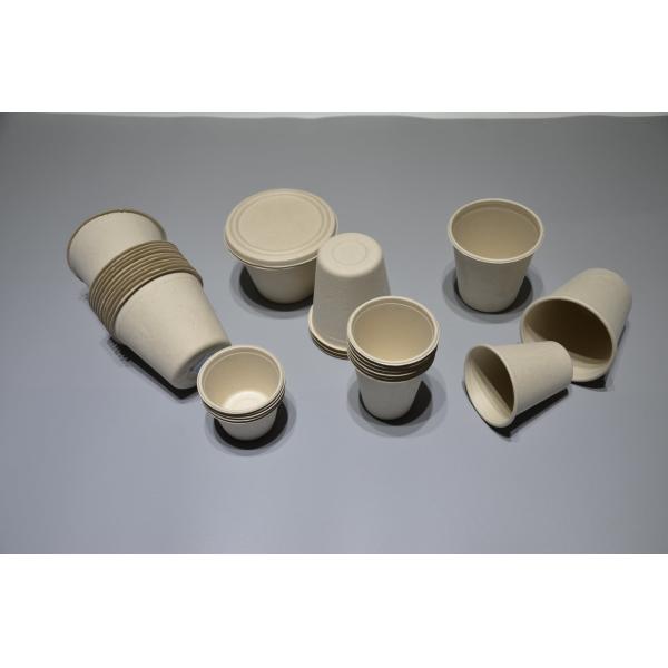 Quality Automated Biodegradable Sugarcane Bagasse Pulp Molding Machine With Double for sale