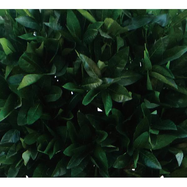 Quality No Nursing Height 160cm Artificial Topiary Tree For Restaurant for sale