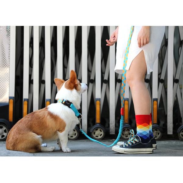 Quality 10 Ft Quick Release Hunting Dog Leash Polyester Fabric American Style for sale