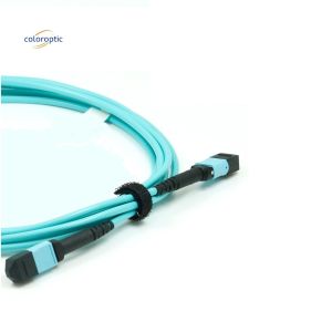 Quality Optical MPO Patch Cord -4℃ - 85℃ Storage Temperature With Connector for sale