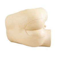 Quality Prostate , rectum palpation Clinical simulation / ture feeling Rectal Simulator for sale