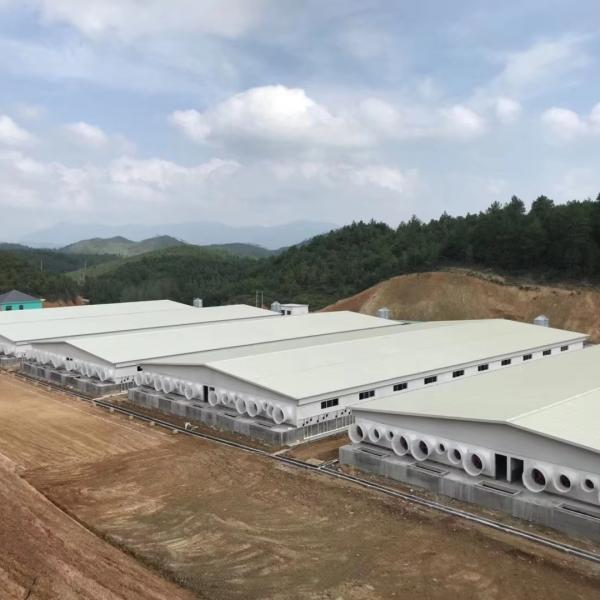 Quality Steel Structures for Poultry House Broiler Chicken Coop Farm Warehouse Gymnasium Ready for sale