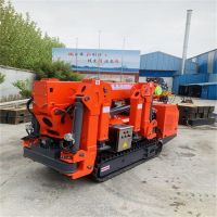 Quality 3 Ton Hydraulic Mini Spider Crawler Crane Lifting Height 9.7m for sale