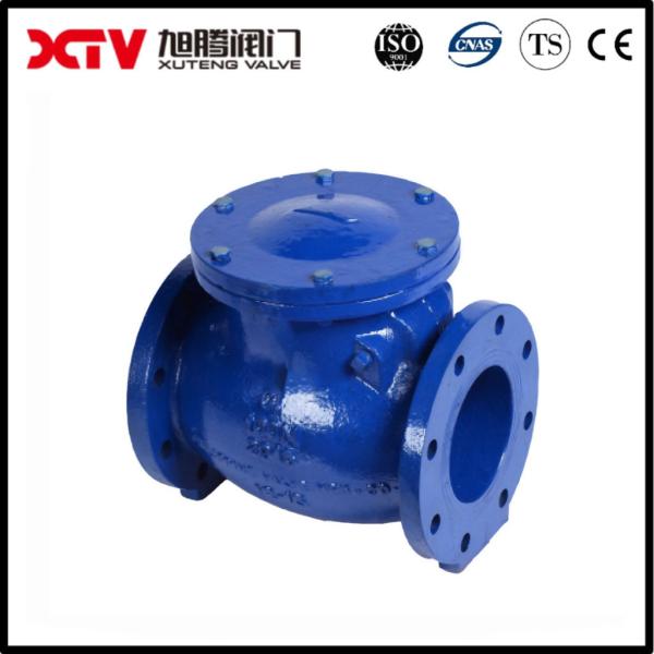 Quality GB/T 12221 DN 15-DN750 Swing Check Valve Direct Sell Wcb/CF8/CF8m 150/300/600 for sale