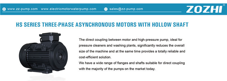 Hollow shaft motor