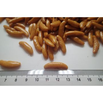 Quality Kakinotane arare rice cracker wholesale crispy small original rice crackers for sale