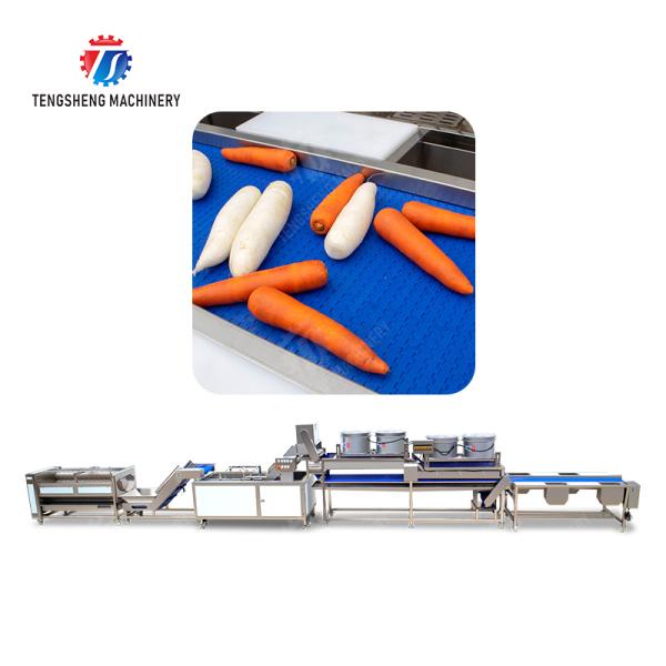 Quality Enhance Your Production with Our State-of-the-Art Fruit And Vegetable Processing for sale