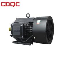 Quality 1500 Rpm Motor High Torque Variable Speed Electric Motor CE Certificated for sale