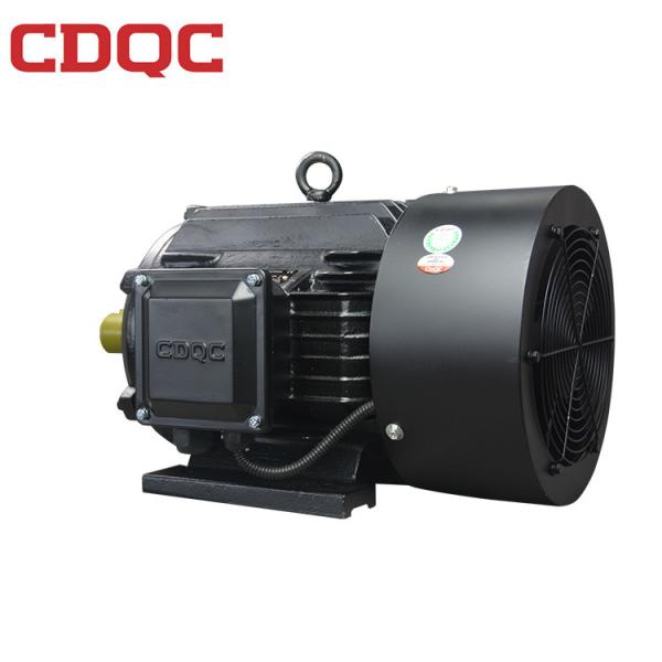 Quality 1500 Rpm Motor High Torque Variable Speed Electric Motor CE Certificated for sale