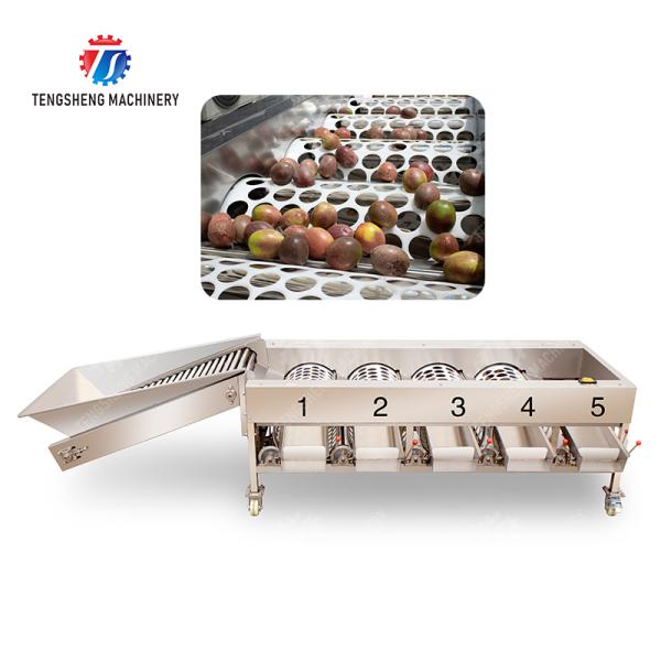 Quality Fruit Orange Vegetable Saiko persimmon lemon tangerine passion fruit avocado for sale