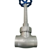 Quality DN40 Cryogenic Globe Valve In Petroleum Chemical Industry for sale