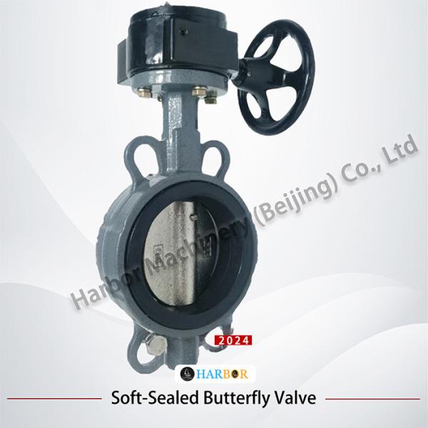 Quality Water Medium DN40-DN700 Manual Turbine Cast Steel Soft-Seal Butterfly Valve for sale