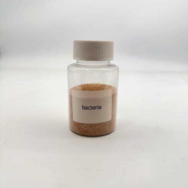 Quality OHSAS 18001 Certified Water Treatment Bio Bacteria Powder for sale