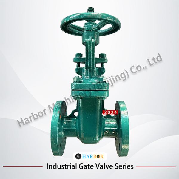 Quality Flanged Manual Cast Steel PTFE Lined Sluice Gate Valve Z41F46-16C for Water for sale