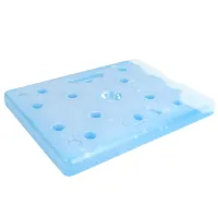 Quality Slim And Lightweight Large Cooler Ice Packs for Keeping Food And Drinks Chilled for sale