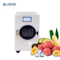 Quality 750W Vacuum Freeze Dryer Food Drying Lyophilizer Machine 50hz For Home for sale