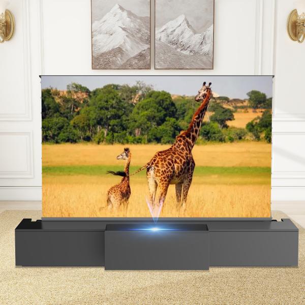 Quality Laser TV Cabinet 100-150inch Modern Projector Cabinet for sale