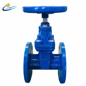 Quality OEM GGG50 DN50 Rising Stem Gate Valve Soft Sealing Ductile Iron Valve for sale