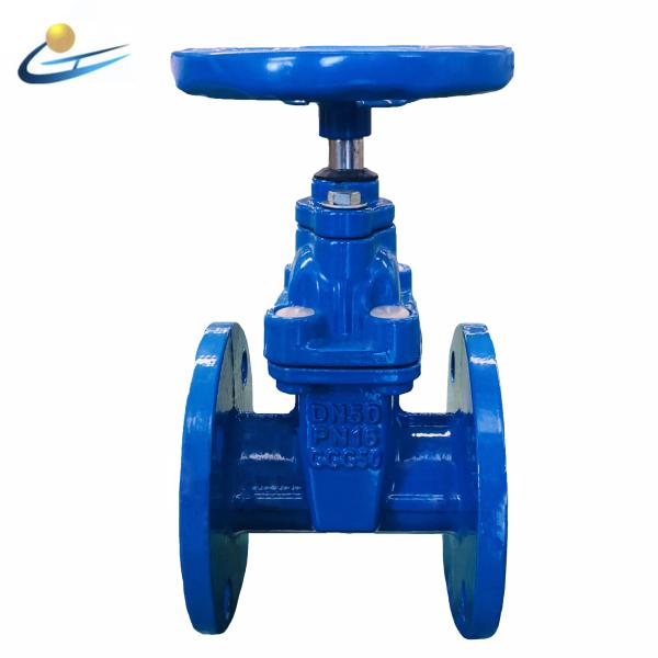 Quality OEM GGG50 DN50 Rising Stem Gate Valve Soft Sealing Ductile Iron Valve for sale