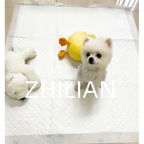 Quality Disposable Pet Pad Training Pad Machine 350mm 900mm Length for sale