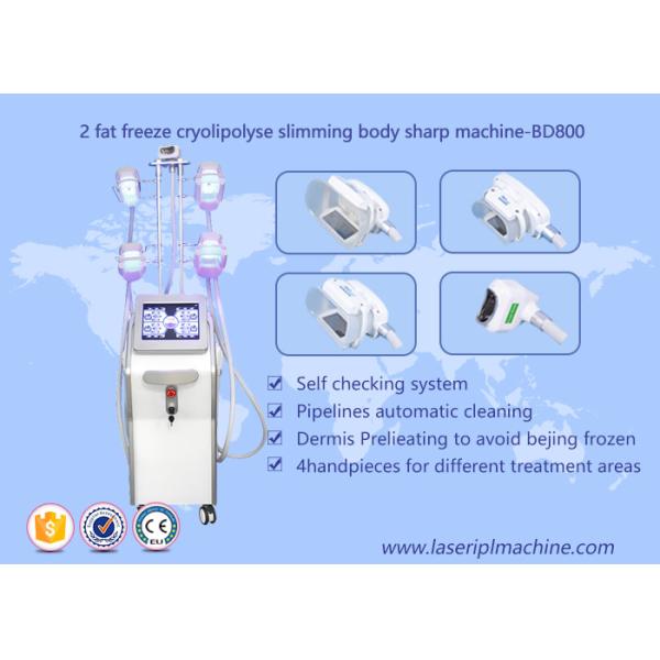 Quality Shape Body Cryolipolysis Slimming Machine , Lipo Cryo Cryolipolysis Beauty for sale