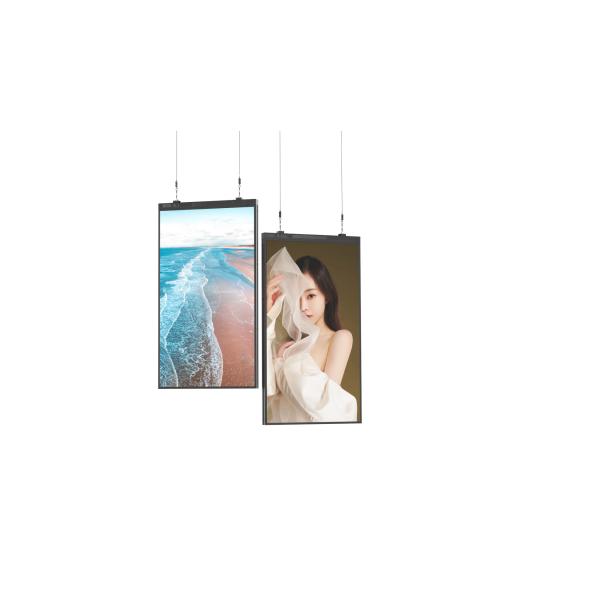 Quality Full Color Digital Window Screen 49inch Enhance Your Customer S Shopping for sale