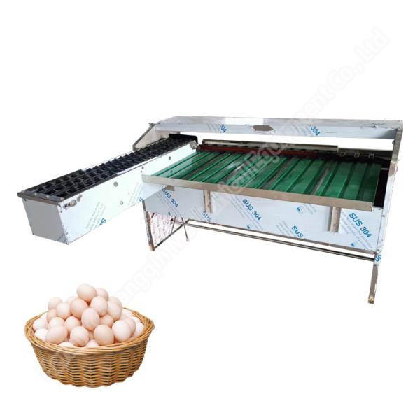 Quality Commercial Small Scale Egg Processing Machine Grader Weight Sorting Line for sale