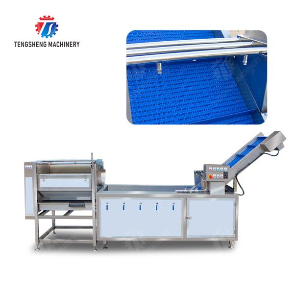 Quality Citrus cleaning production line Fruit Orange Wash Washer Washing Cleaning Dryer for sale