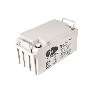 Quality Leakproof F14 20kg 12V 65ah AGM Battery Sealed Lead Acid For Solar System for sale