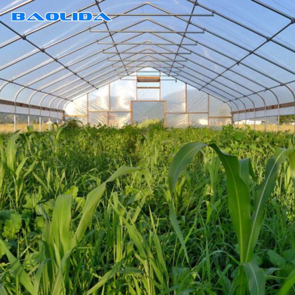 Quality Agricultural PE Film Polyethylene Plastic Sheeting Greenhouse Commercial for sale