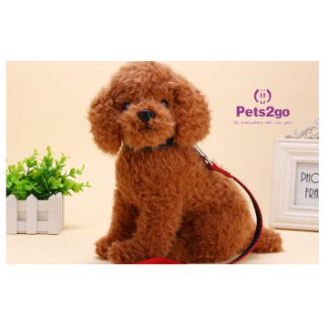 Quality vibration Nylon 150x120cm Pet Training Collars for sale