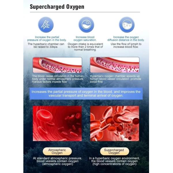 Quality Hyperbaric Oxygen Chamber 1.3ATAT 1.5ATAT 2.0 ATAT for sale