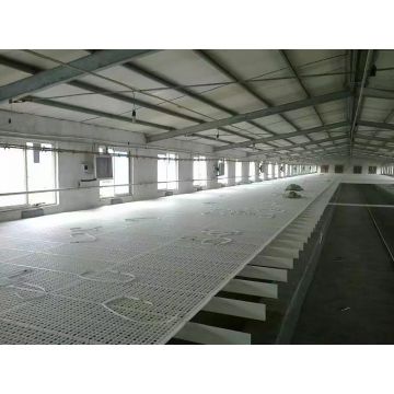 Quality Coop grid floor, A floor that leaks chicken manure through the grille for sale