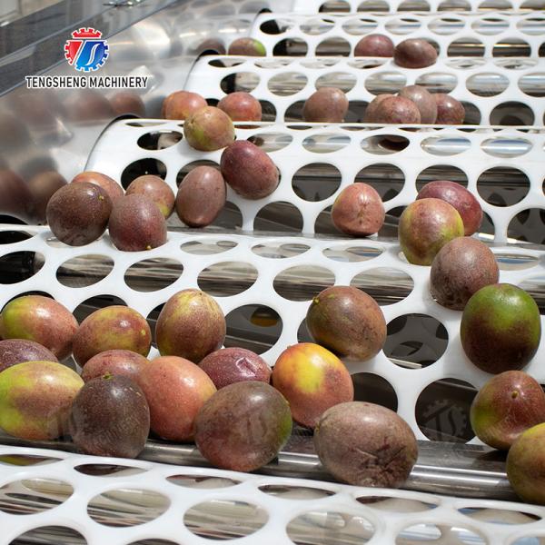 Quality Fruit Orange Vegetable Saiko persimmon lemon tangerine passion fruit avocado for sale