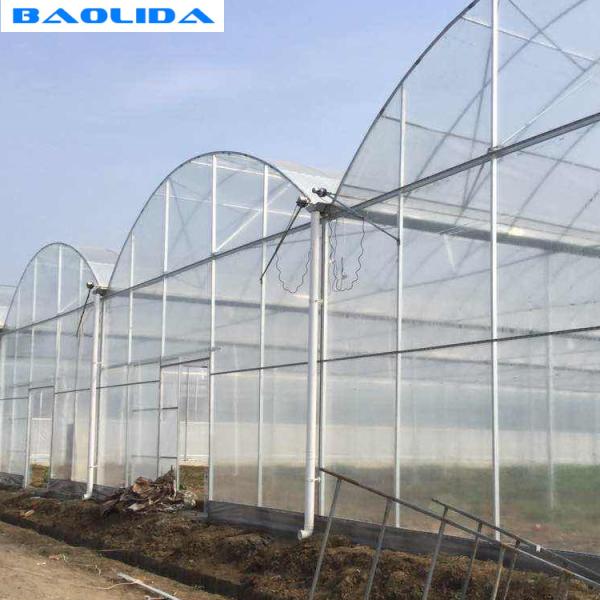 Quality Clear Plastic Grow Tunnel / Agriculture Farm Plastic Tunnel Greenhouse for sale