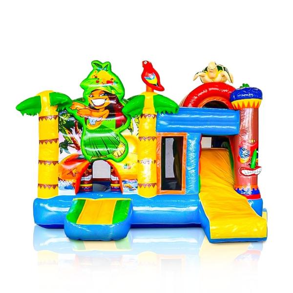 Quality Commercial Inflatable Bouncy Castle with Customized Size and Bluey Bounce House for sale