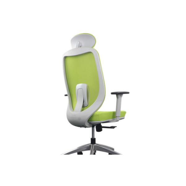Quality Green Mesh Adjustable Ergonomic Chair , H1165-1260MM Ergo Computer Chair for sale
