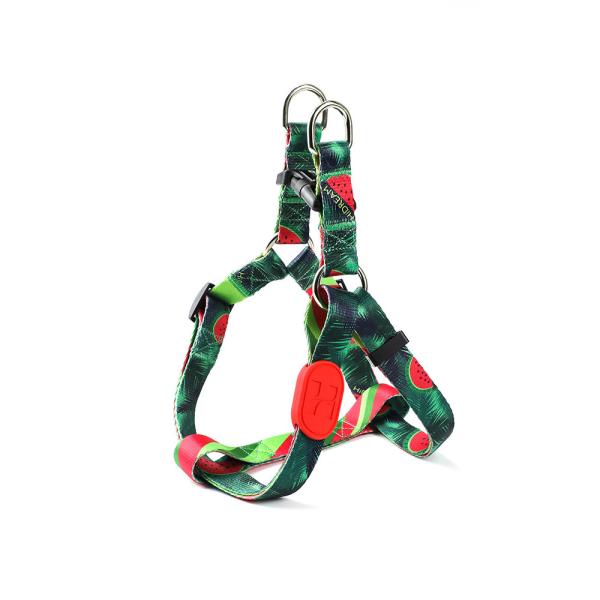 Quality Polyester Watermelon Dog Harness For Freedom Walker Front Walking for sale