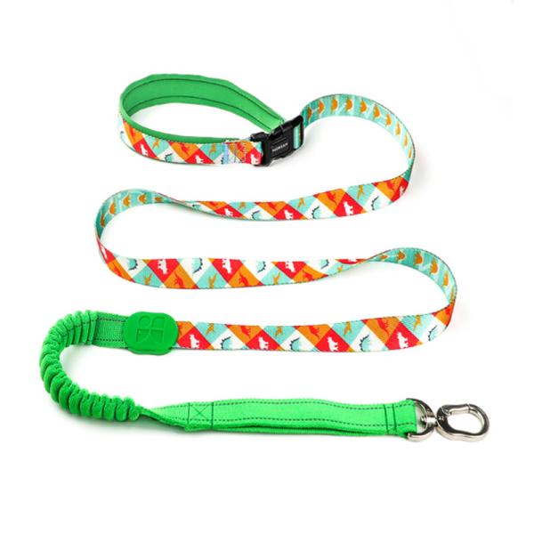 Quality 50 Ft 10 Foot Sublimation Dog Lead Pet Leash Harness Leash Combo for sale