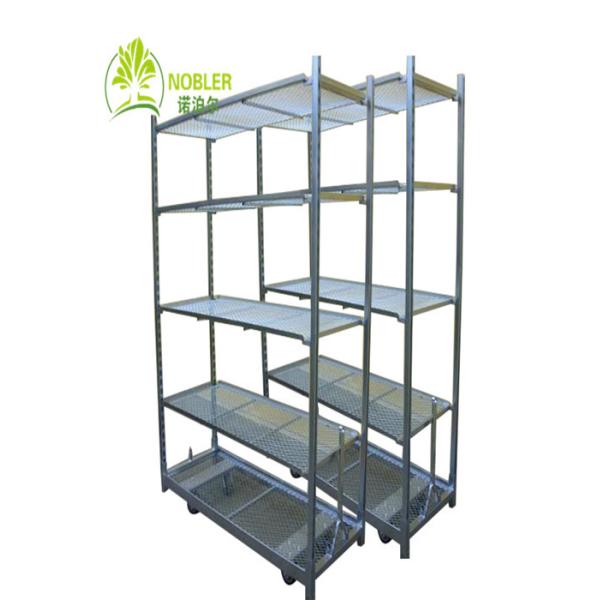 Quality Dutch Trolley Danish Trolley Shelves Flower Wagon Electro Galvanized for sale