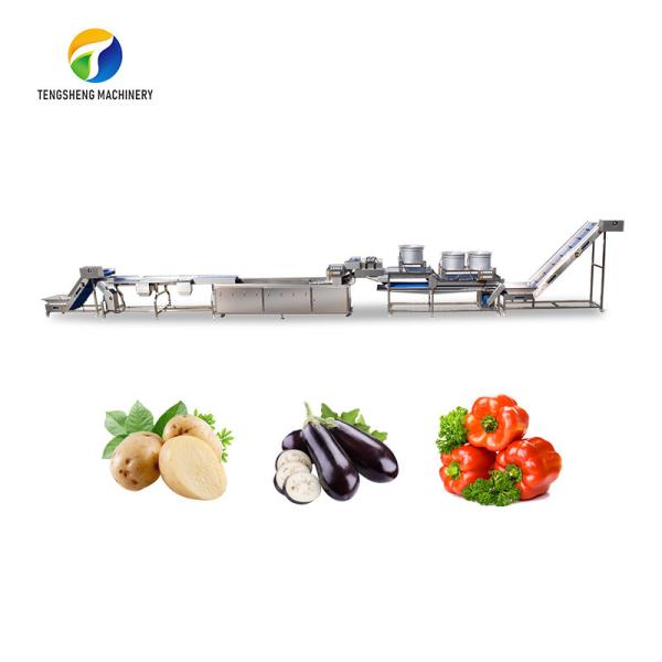 Quality 1500KG/H Fruit And Vegetable Processing Line cleaning Sorting Machine for sale