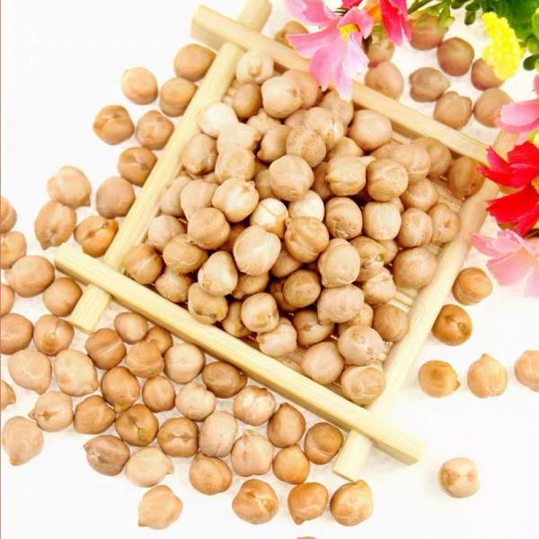Quality Healthy Roasted Bean Snacks Authentic Roasted Chickpeas Snacks for sale