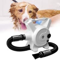 Quality Pet Water ABS 220V Grooming Blow Dryer Machine for sale