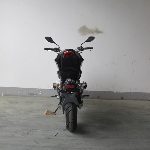 Quality TR250-U3 CDI Ignition 250CC Naked Sport Motorcycle for sale