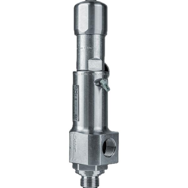 Quality Compact Performance Type 437 Pressure Safety Valve for sale